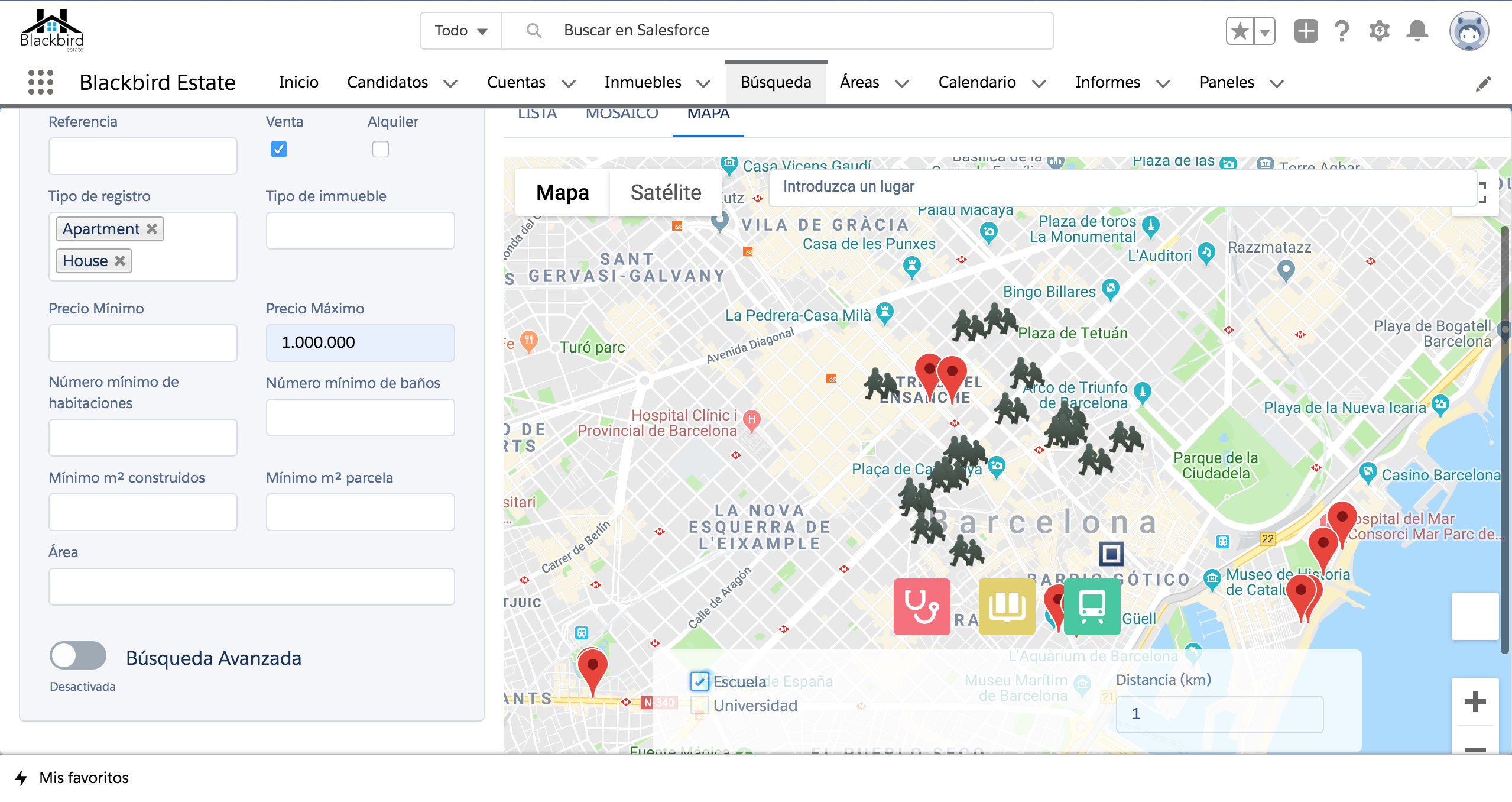 Salesforce para el sector Real Estate › Blackbird Salesforce Consulting